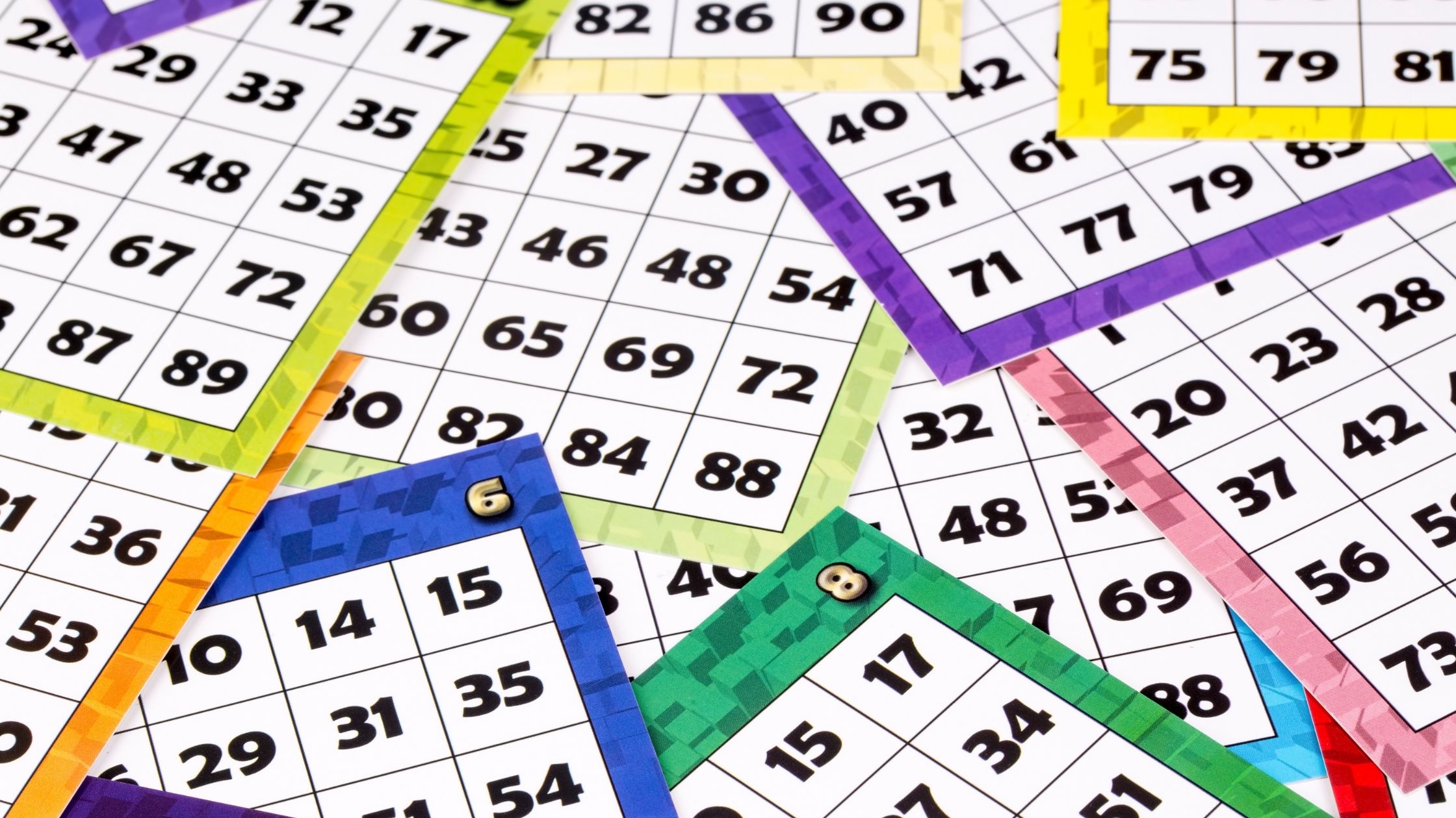 Bingo – Judi Lottery